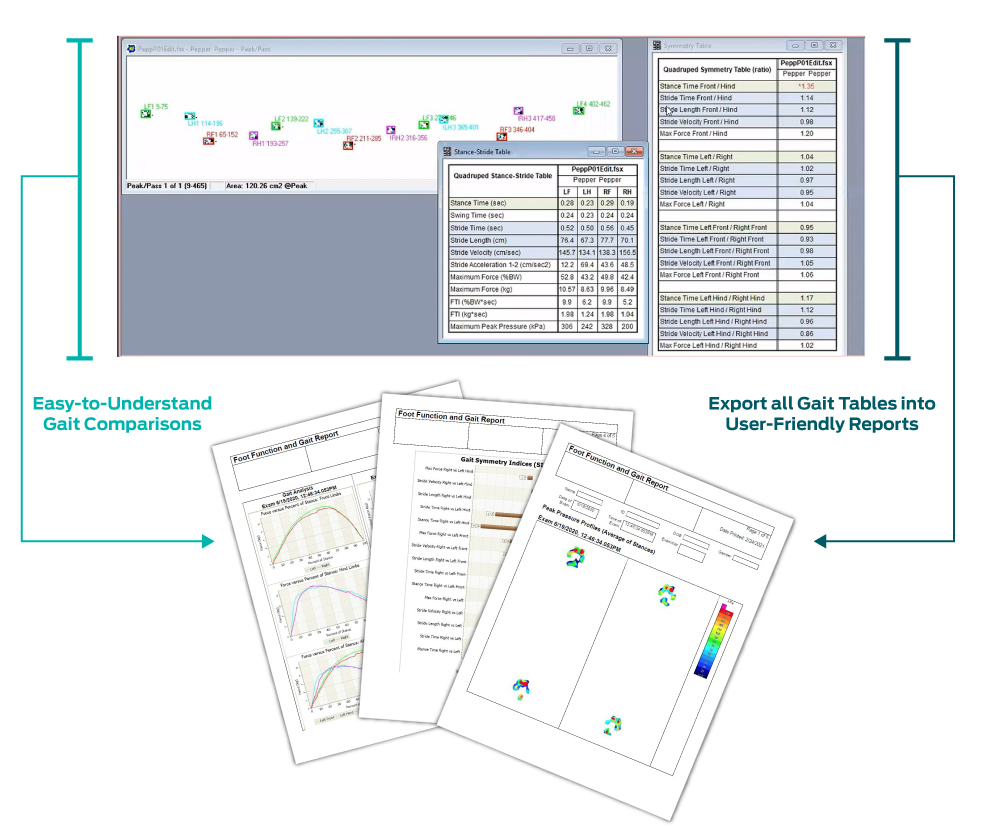 Animal Gait Analysis - Animal Strideway System | Tekscan