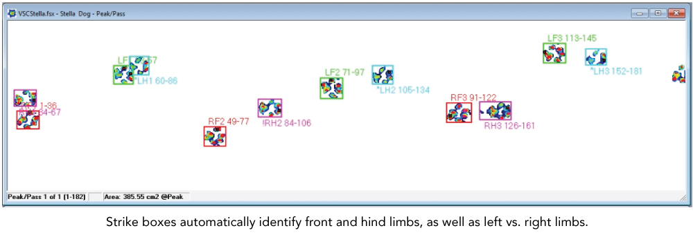 Animal Gait Analysis - Animal Strideway System | Tekscan