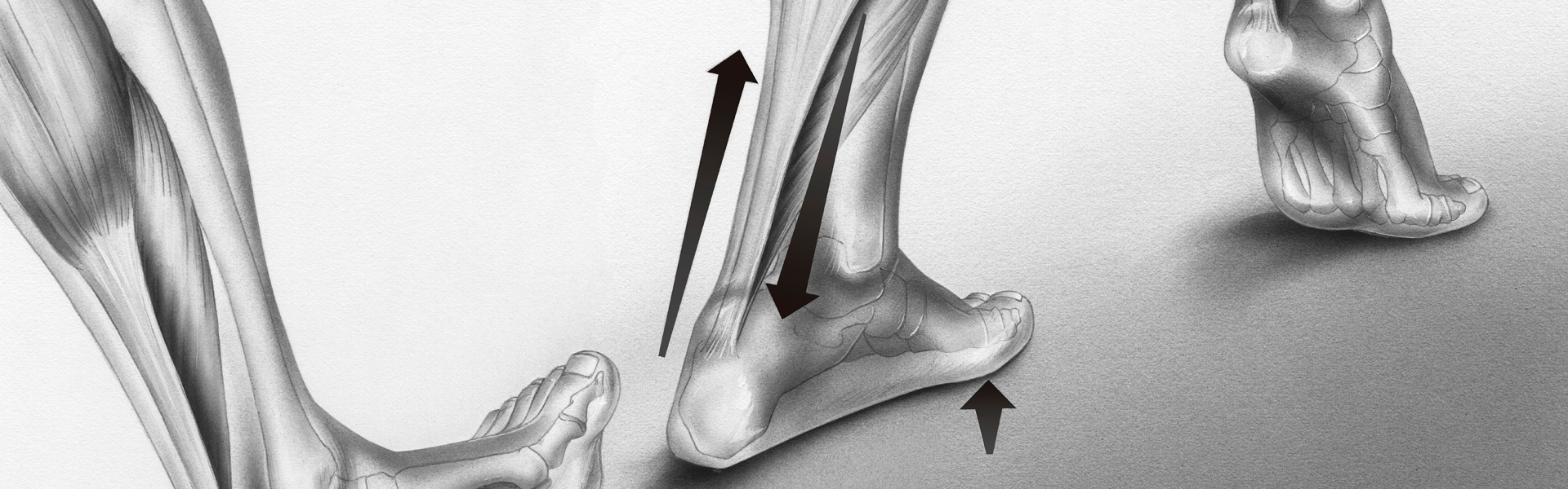 Analyze Foot Function with Pressure Mapping | Tekscan